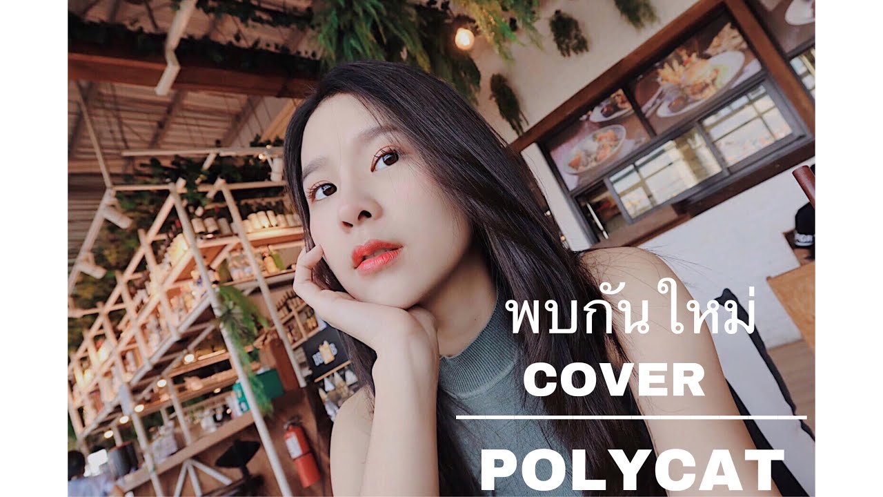 พบกันใหม่ - POLYCAT (Cover version.) - YouTube