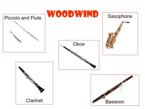 Video The western orchestra ART302 - YouTube