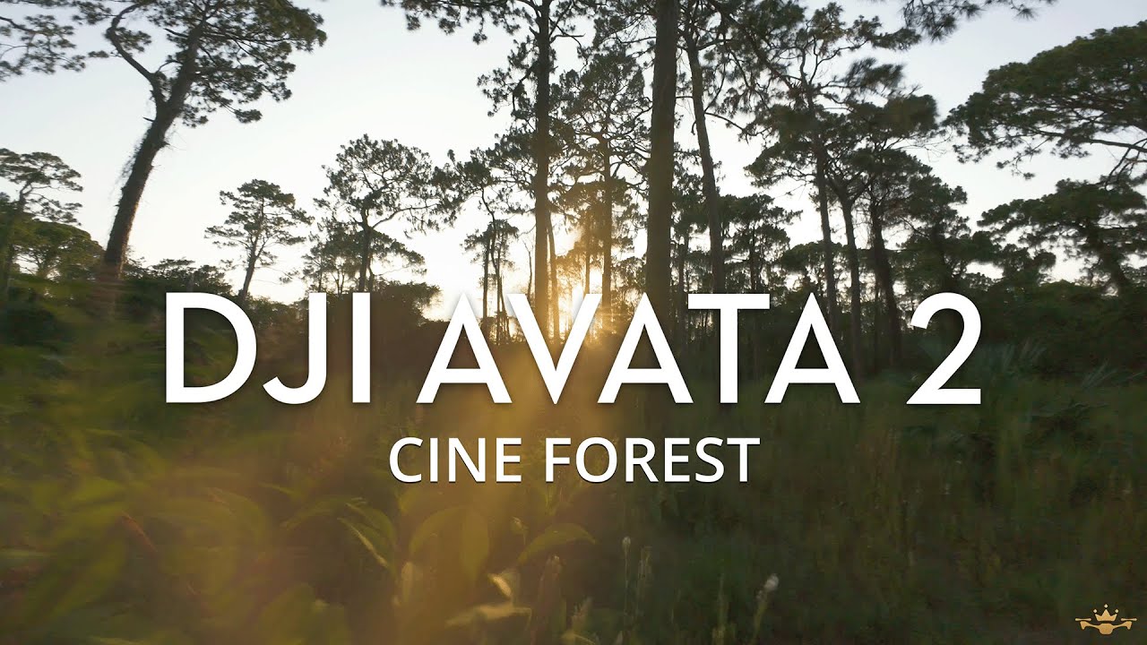 DJI AVATA 2 | Cine Forest - YouTube