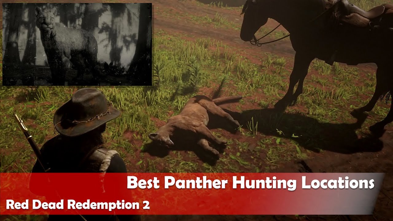 Best Panther Hunting Locations in Red Dead Redemption 2 - YouTube