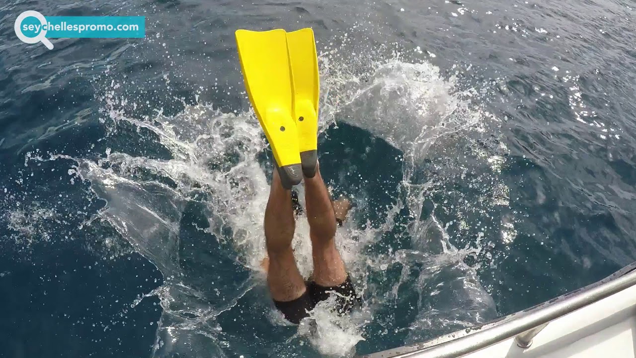 Dive Seychelles Underwater Centre - Beau Vallon - Mahe - Seychelles ...