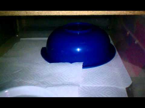 Setting up Snake rack and thermostat - YouTube