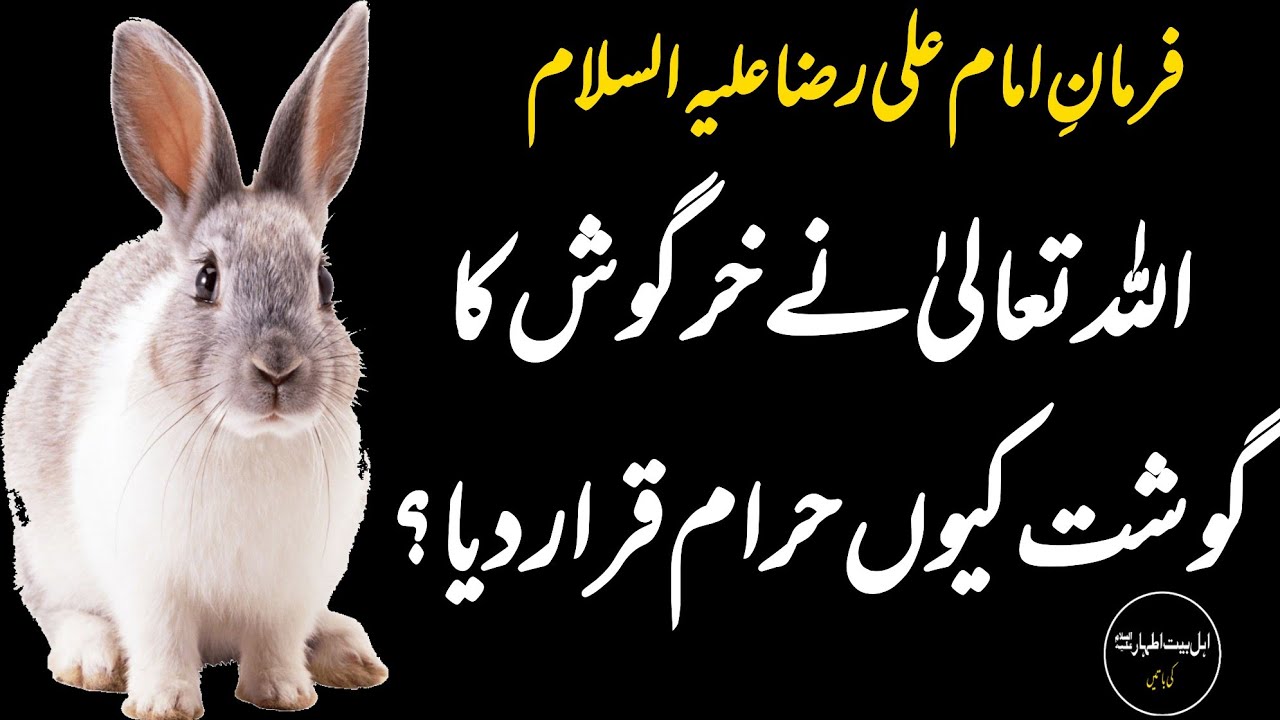 Farmaan Imam Ali Raza as / Heart Touching Quotations/ Urdu Quotes ...