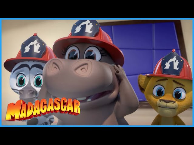 Madagascar Alex Marty Gloria Melman Marty Alex Gloria Melman