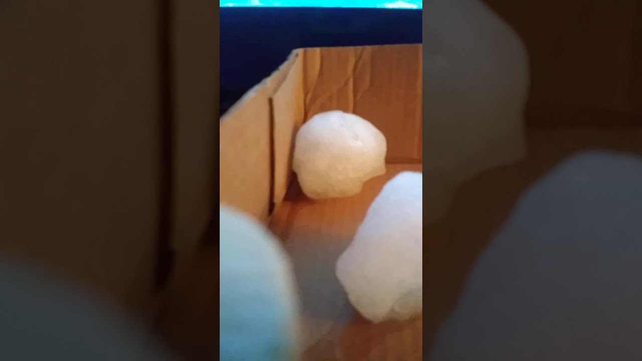 fastmo of snow ball melting - YouTube