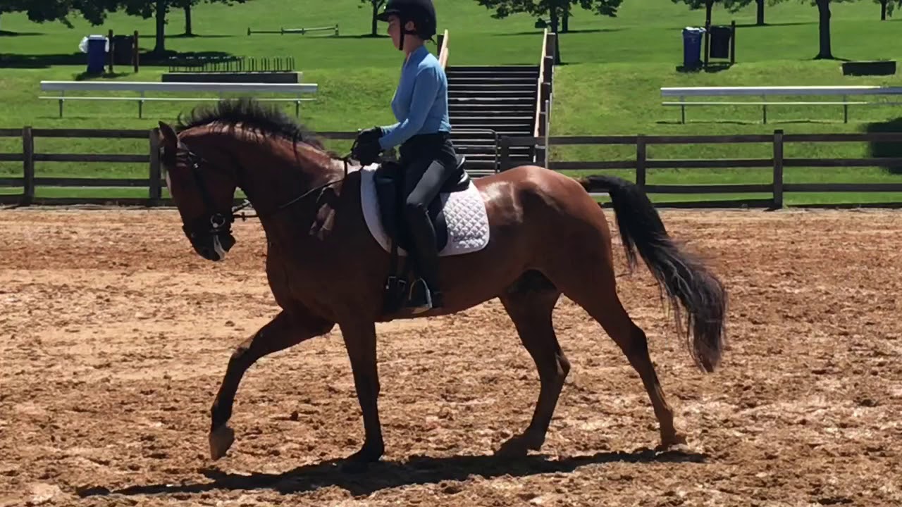 Dressage lesson 6-12-18 - YouTube