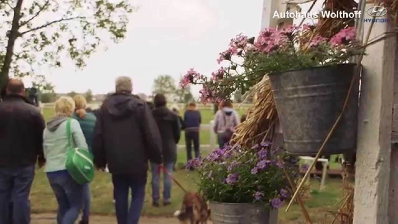 Reitturnier des Concordia Emden - Eventfilm (promotionfilm TIm Detmers ...