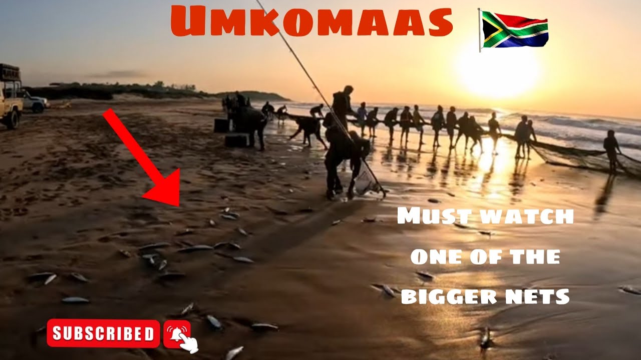 OFFROAD4LIFE, The Greatest Shoal on Earth. Umkomaas, KZN, South Africa ...