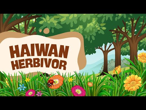 JOM KENALI HAIWAN HERBIVOR 