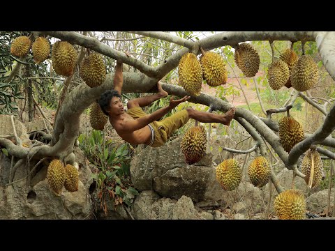 Find Rich durian at up the hill - He ate sick durian, apparently delicious