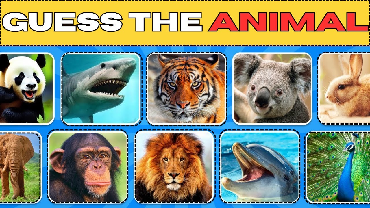 Guess 30 Animals in 3 Seconds | Easy, Medium, Hard - YouTube