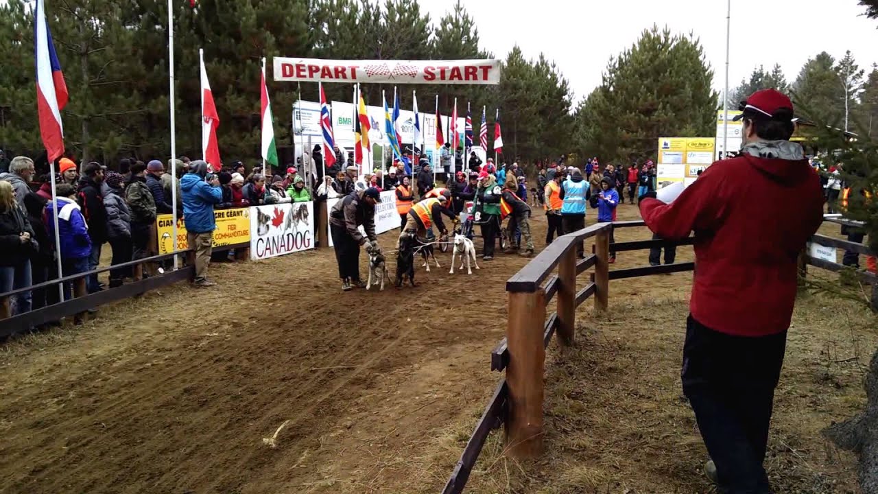 2015 IFSS Dryland World Championships in Bristol, QC, Canada - 4 Dog ...