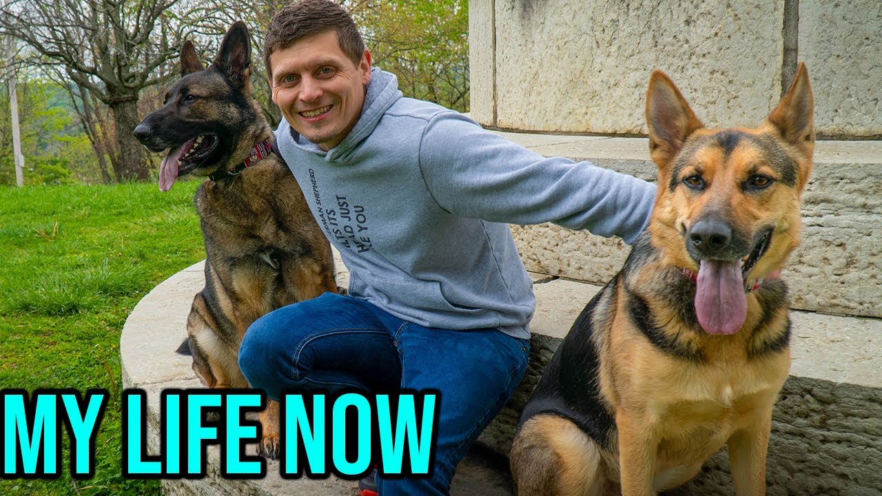 German Shepherds Have CHANGED MY LIFE. Some Good and Some Even Better ...