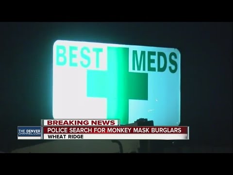 Suspects in monkey masks break in to marijuana dispensary in Wheat Ridge