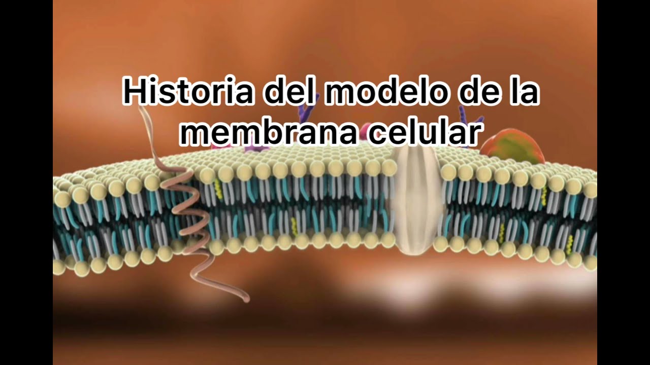 Historia de la célula y el modelo de la membrana celular - YouTube