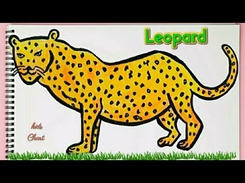 How to draw a Leopard🐆 for kids step by step |Leopard drawing ...