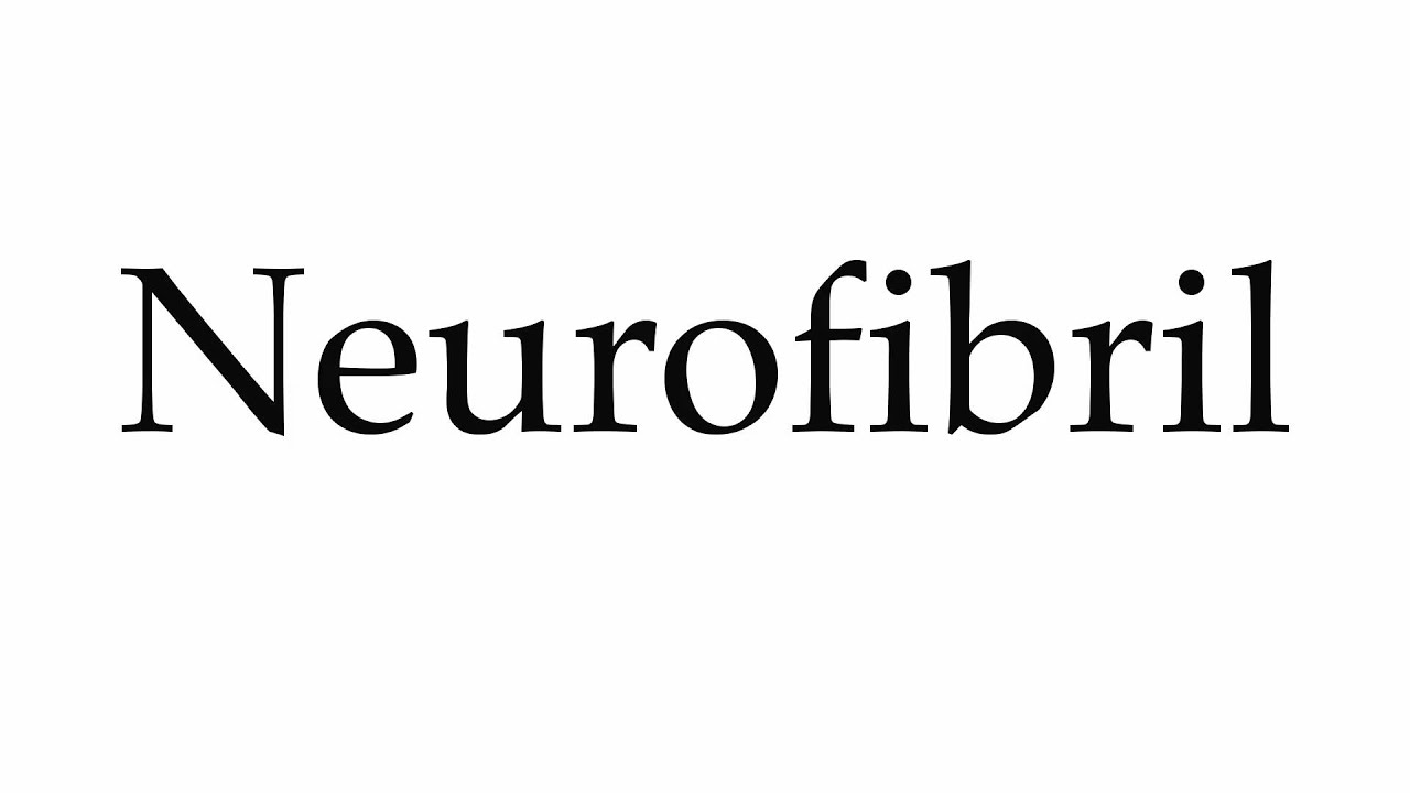 Neurofibrils