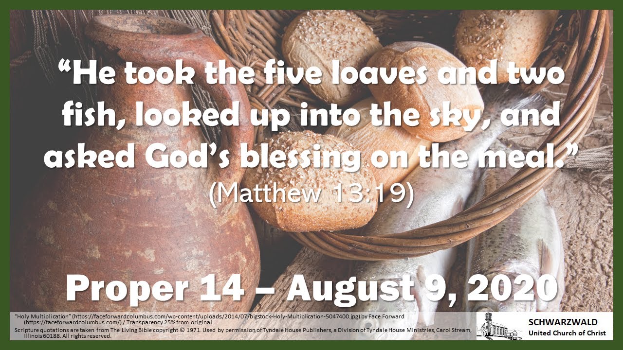 Proper 14 - YouTube