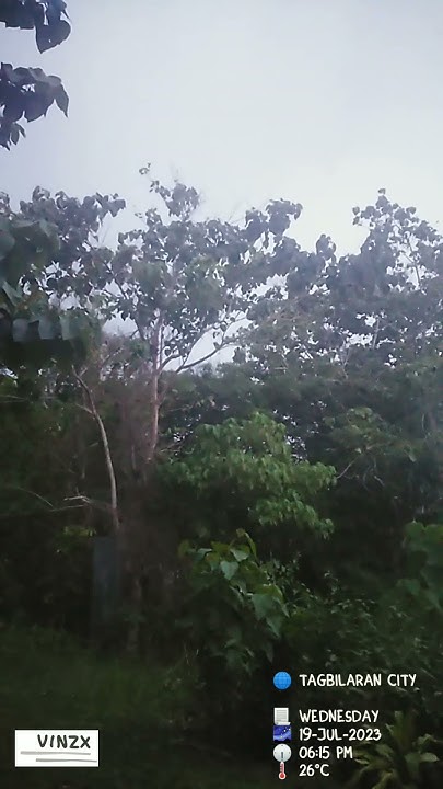 TAGBILARAN CITY WEATHER | EVENING: 19-JUL-2023 (1815H) | vInzx - YouTube