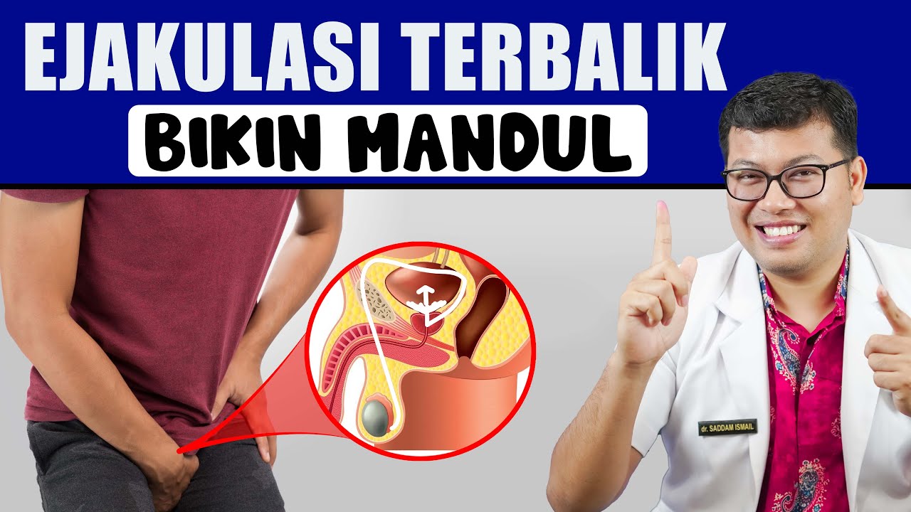 EJAKULASI TERBALIK ATAU EJAKULASI RETROGRADE BIKIN MANDUL - DOKTER SADDAM ISMAIL - YouTube