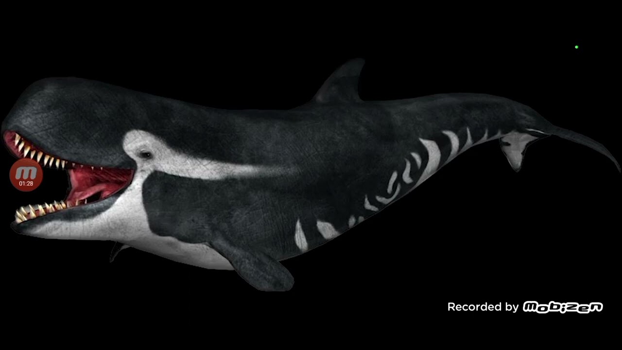 livyatan sounds - YouTube