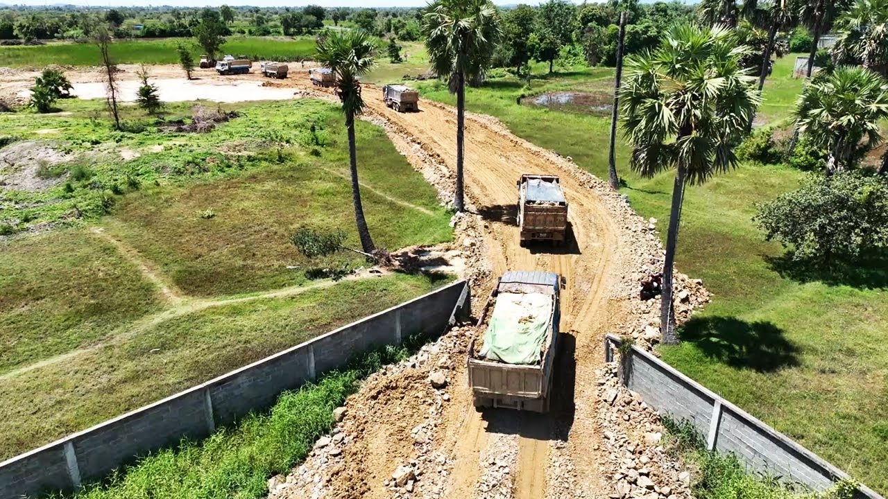 Wonderful Reeds Of Grass Land Filling Up At Rural Field Old KOMATSU ...