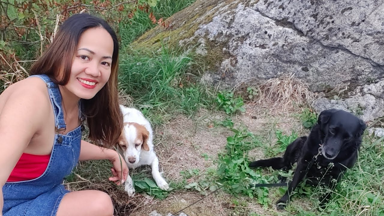 Adel Sweden Vlog is going live! im going to work.please support me po ...