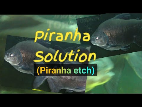 Piranha Solution # Piranha etch | - YouTube