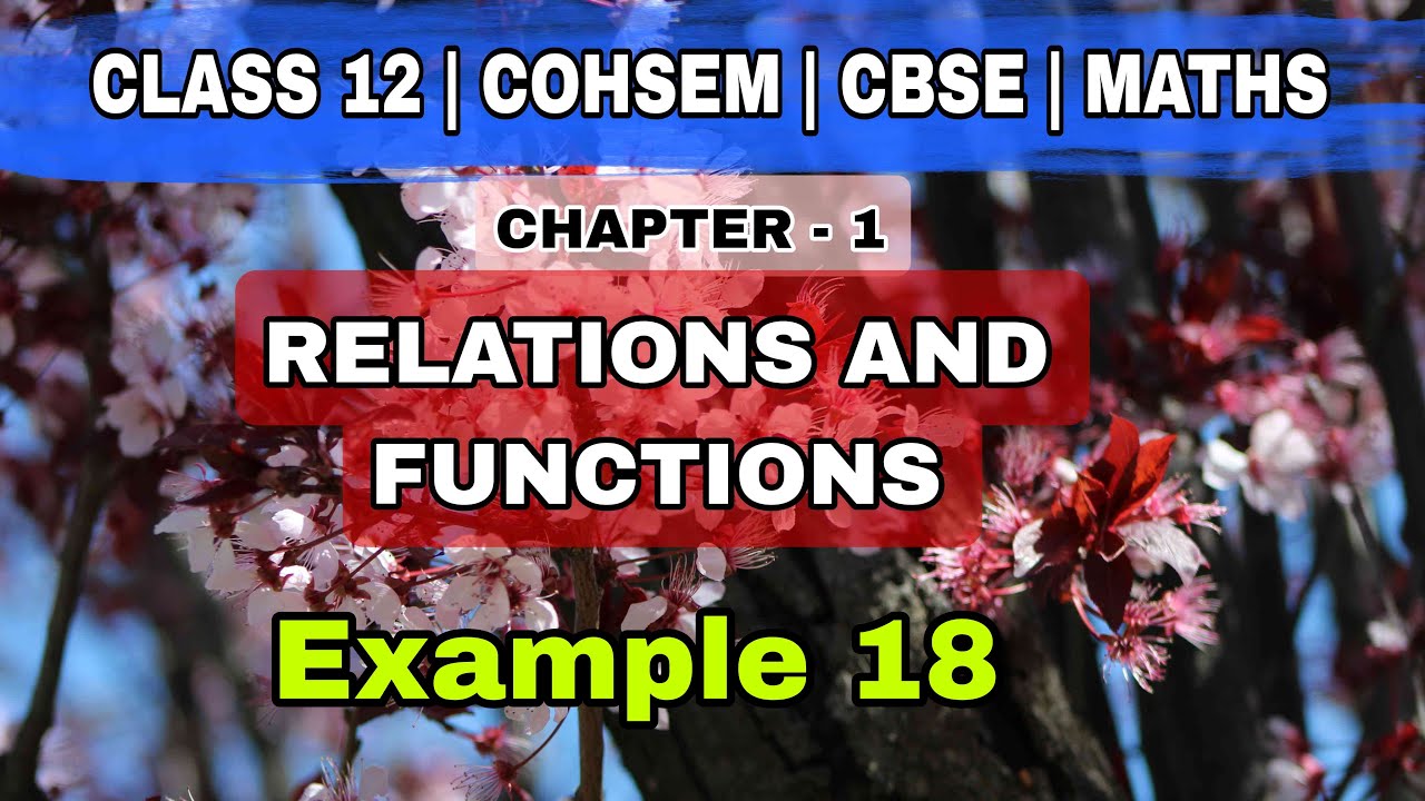 Example 18 Class 12 Chapter 1 Relations And Functions Cohsem 9503