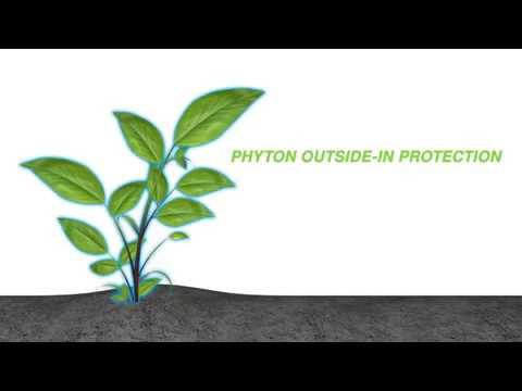 Phyton 27 - YouTube