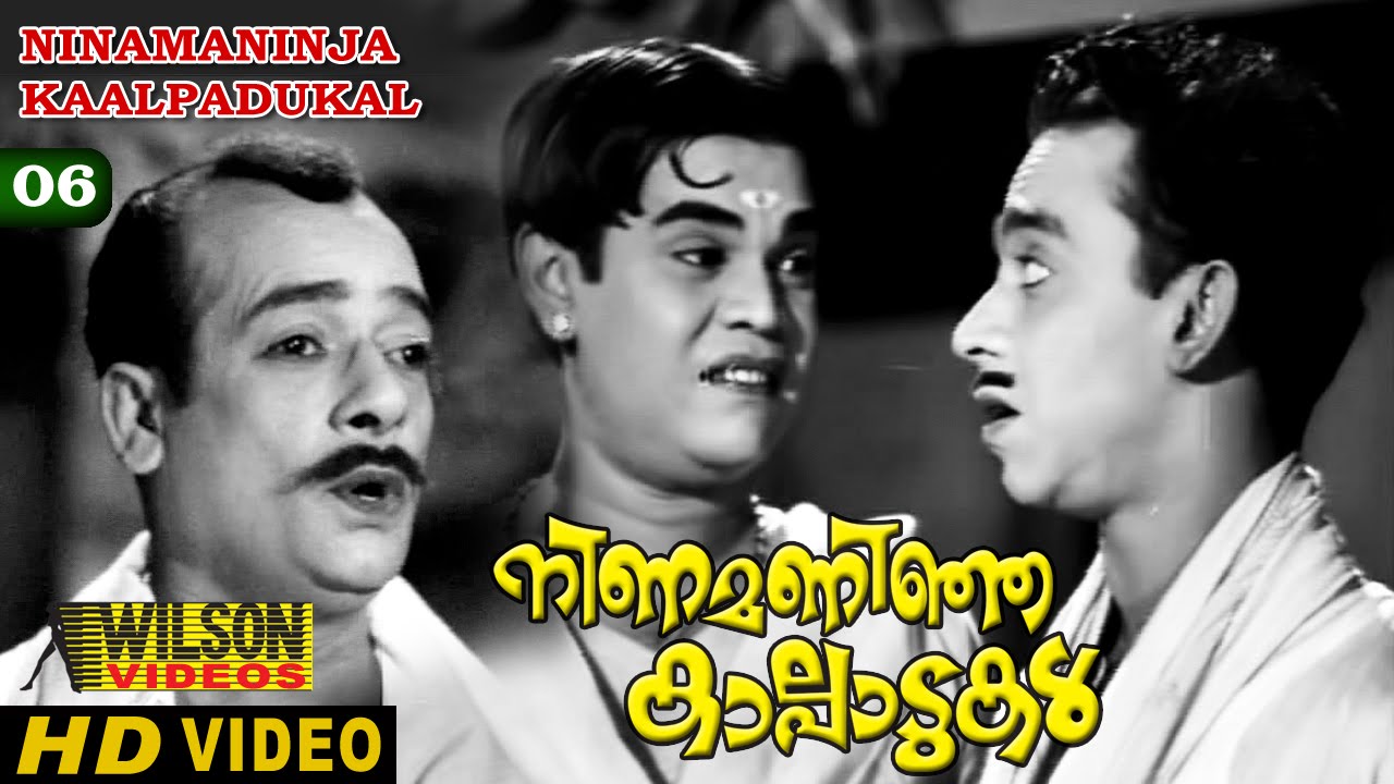NINAMANINJA KAALPPAADUKAL CLIP 6 SP PILLAI, BAHADOOR, ADOOR BHASI ...