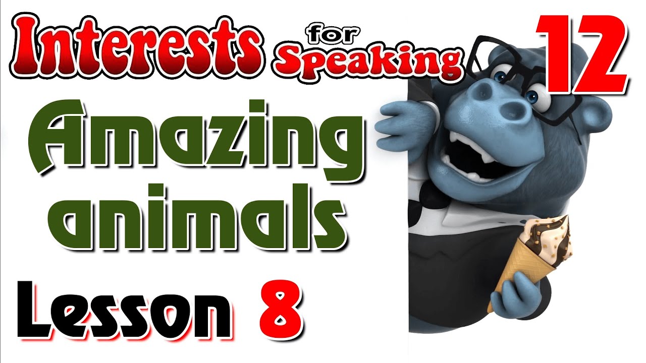 Amazing animals - Vocab Challenge - CEFR A2 - Interests 12 Lesson 8 ...