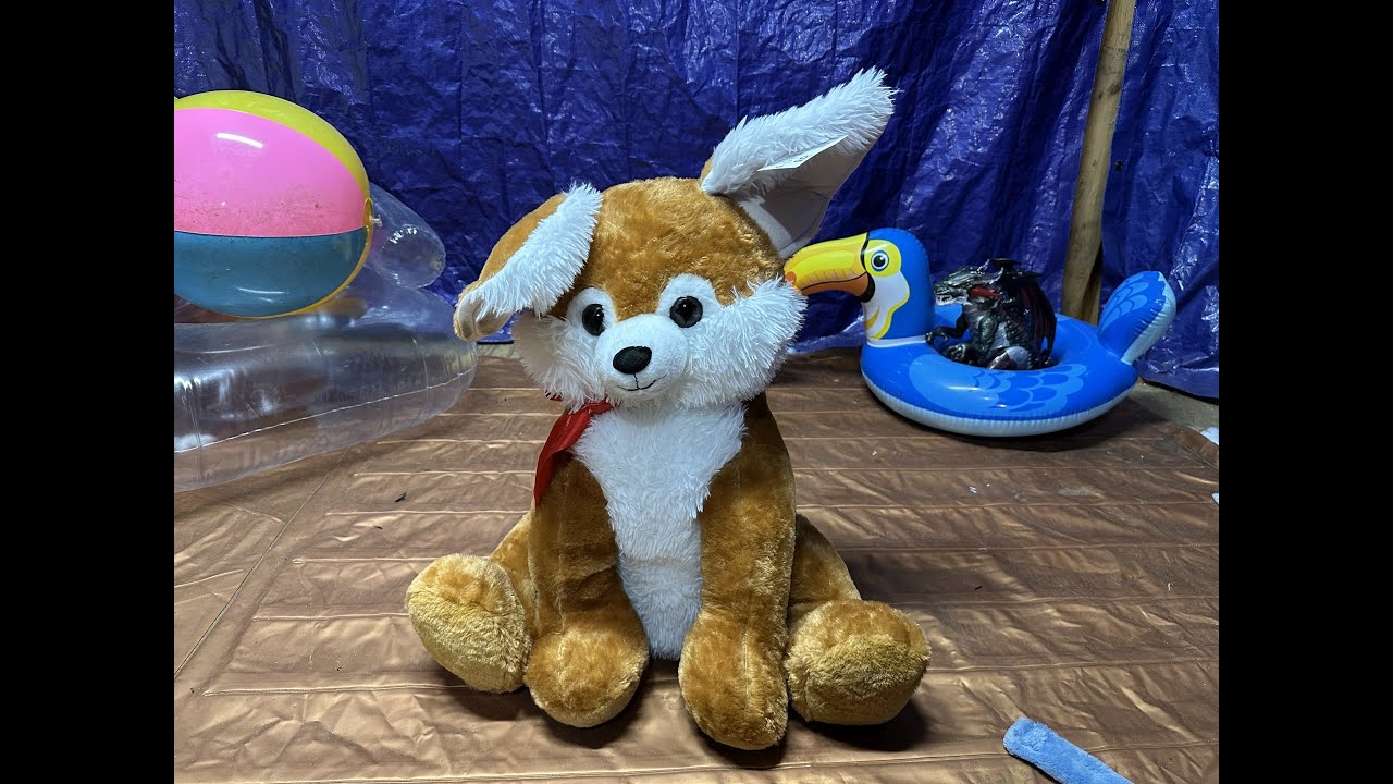 Destroying Stuffed Fennec Fox Plush Toy Rip To Shreds! - YouTube