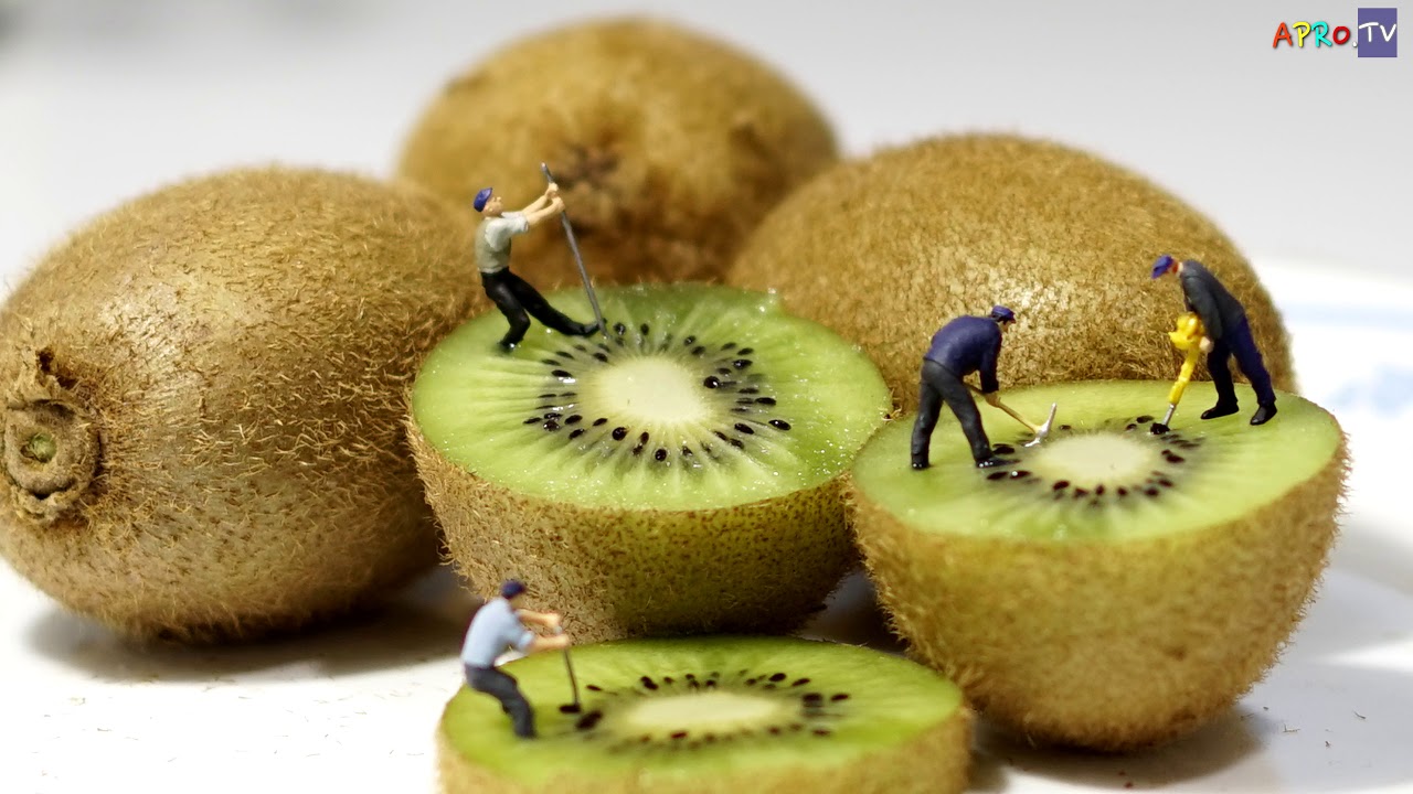 초 소형 미니어처 피규어 사진놀이 (Super miniature figure photo play) - YouTube