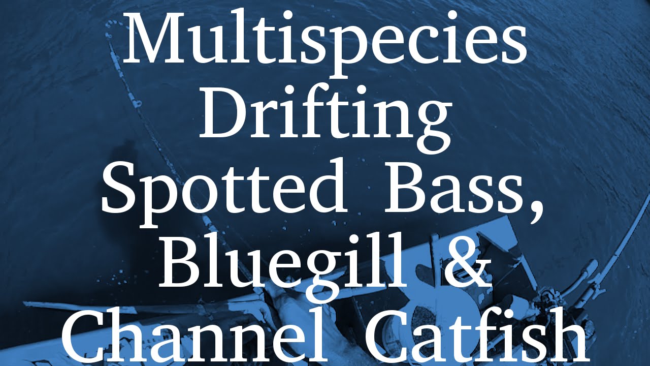 Multispeicies Drift Fishing | Spotted Bass, Bluegill & Channel Catfish ...