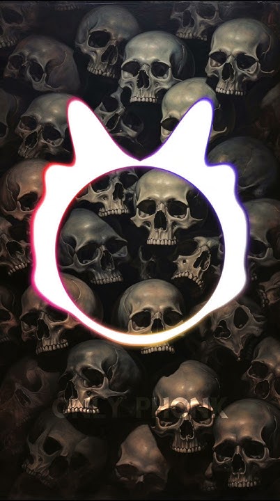 PYTHON FUNK (slowed) #phonk #music #memes #art #song #ldrr #avee_player ...