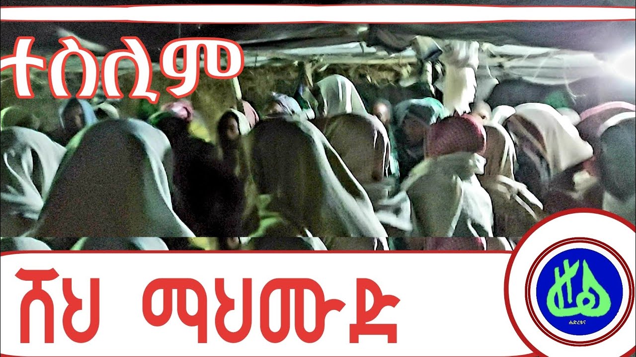 ሸህ ማህሙድ ||መሳጭ ተስሊም||Sheh Mahmud - YouTube