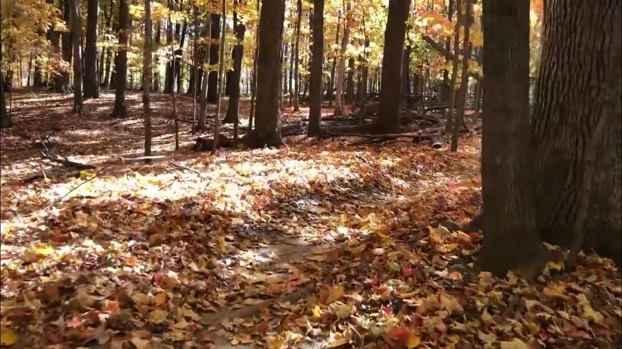 Beautiful fall day - YouTube
