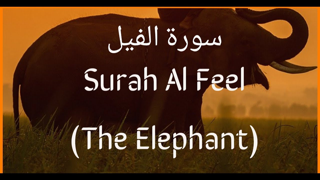 Surah Al Fil 105 The Elephant Arabic and English translation