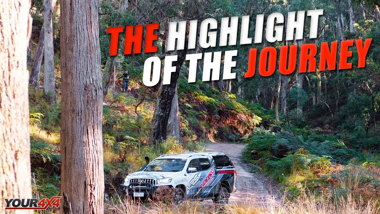 The Search for Wild Dog Rocks, TOUGH Tracks through Victorian High ...