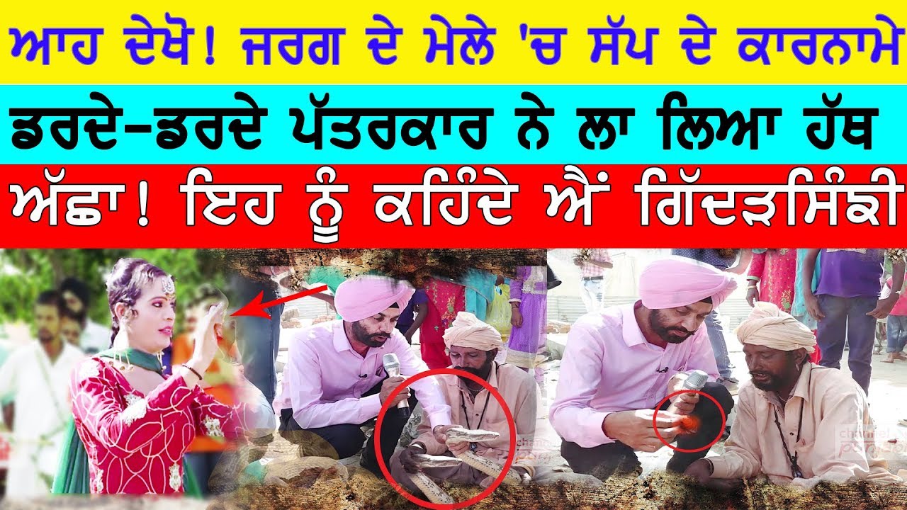 ਆਹ ਦੇਖੋ! ਜਰਗ ਦੇ ਮੇਲੇ ਚ ਸੱਪ ਦੇ ਕਾਰਨਾਮੇ, ਡਰਦੇ-ਡਰਦੇ ਪੱਤਰਕਾਰ ਨੇ ਲਾ ਲਿਆ ਹੱਥ ...