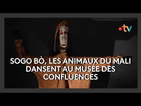 Avec le Sogo bò, les animaux du Mali dansent au Musée des Confluences