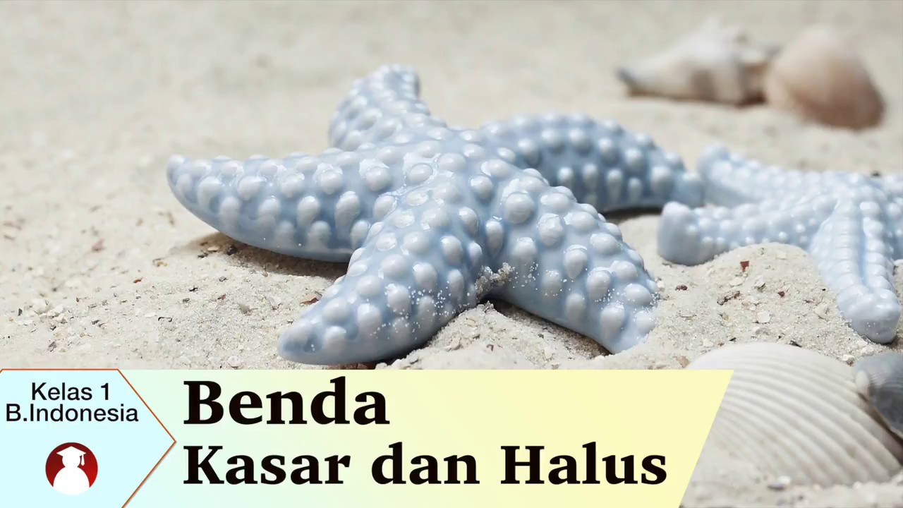Kelas 01 - Tema 7 Subtema 4 - Permukaan Benda: Kasar dan Halus | Video ...