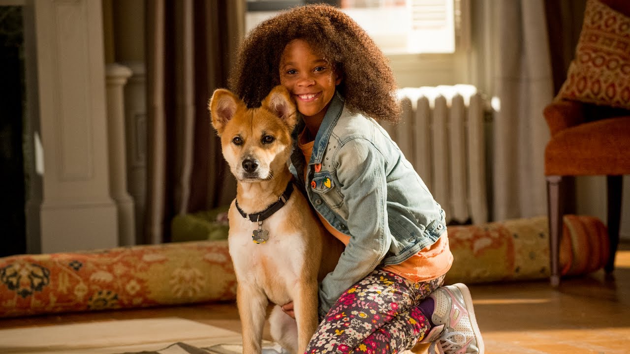 Big Big Movie: Annie | RTÉ One | Saturday 22nd July 6.35pm - YouTube