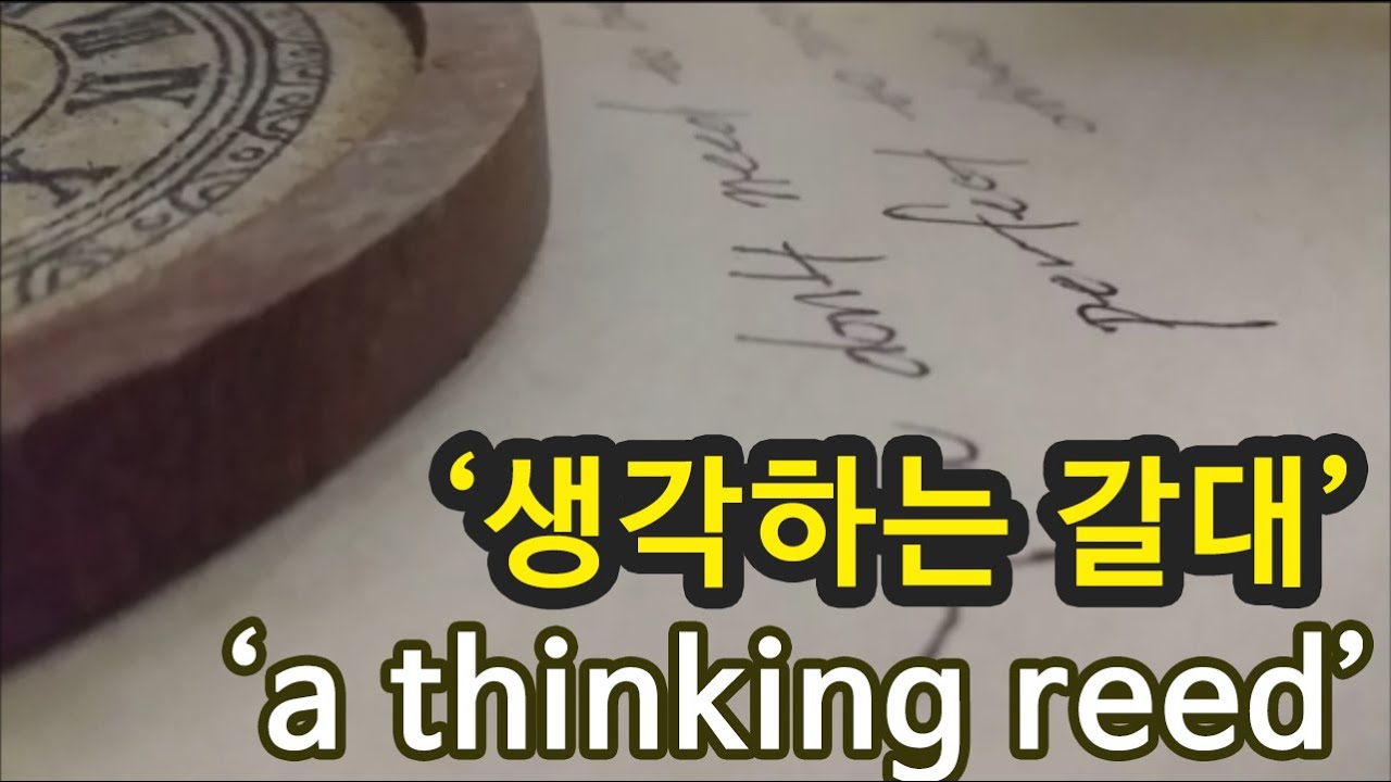 좋은글 영어명언 ASMR - (파스칼) 생각하는 갈대 a thinking reed - YouTube