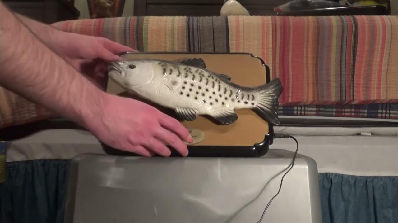 Sammy The Singing Salmon Re Upload Youtube