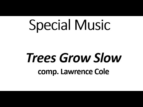 Song "Trees Grow Slow". - YouTube