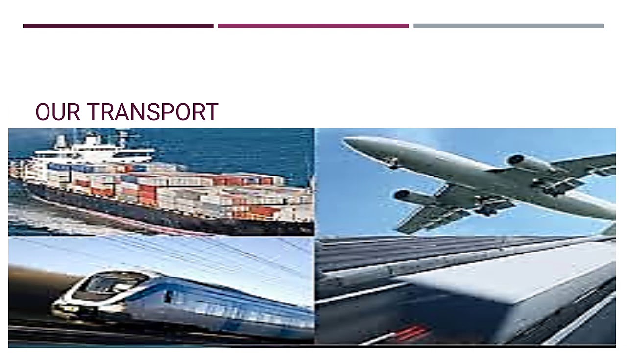 chapter - 7 our transport - YouTube