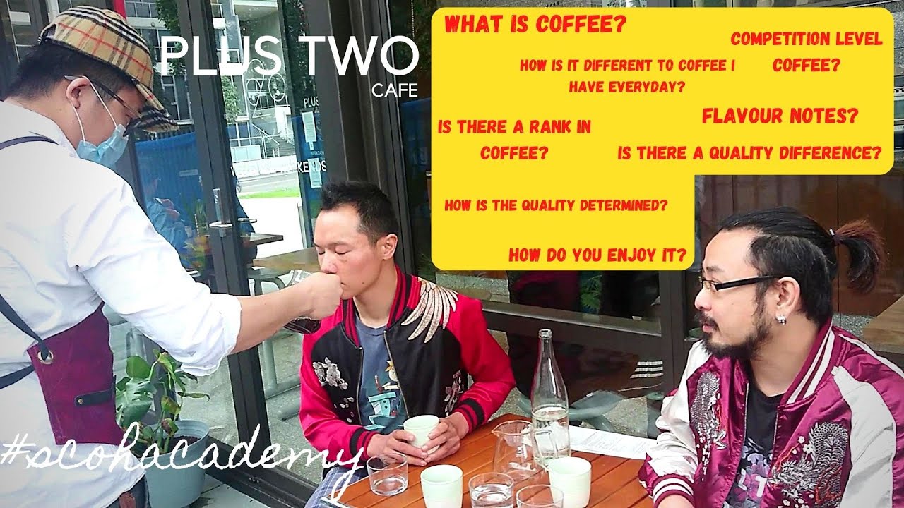 What is Coffee and how to enjoy it. Quality differences in coffee ...