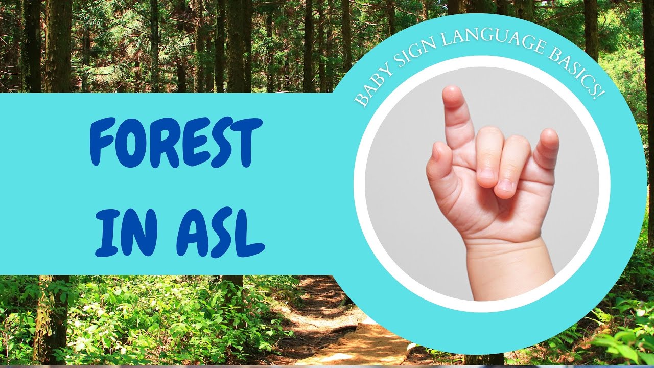 How to Sign Forest in ASL - YouTube